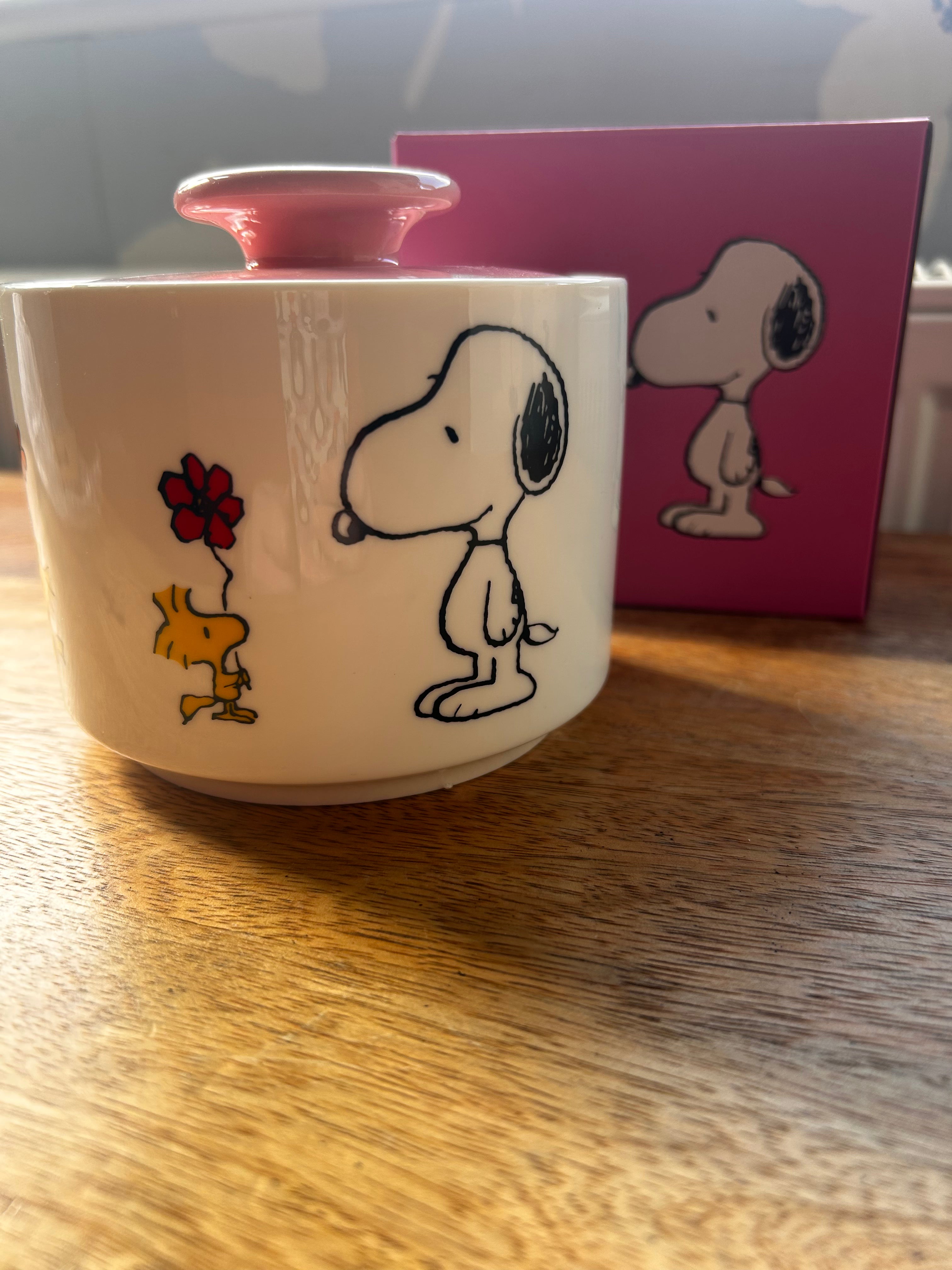 SOLD AS SEEN - Peanuts Candy Jar Love is in Bloom – Grumpy Custard