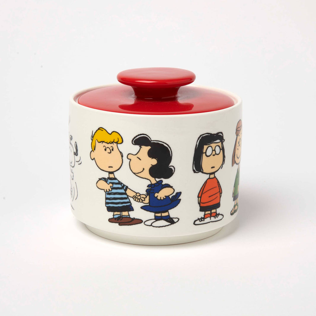 Peanuts – Grumpy Custard